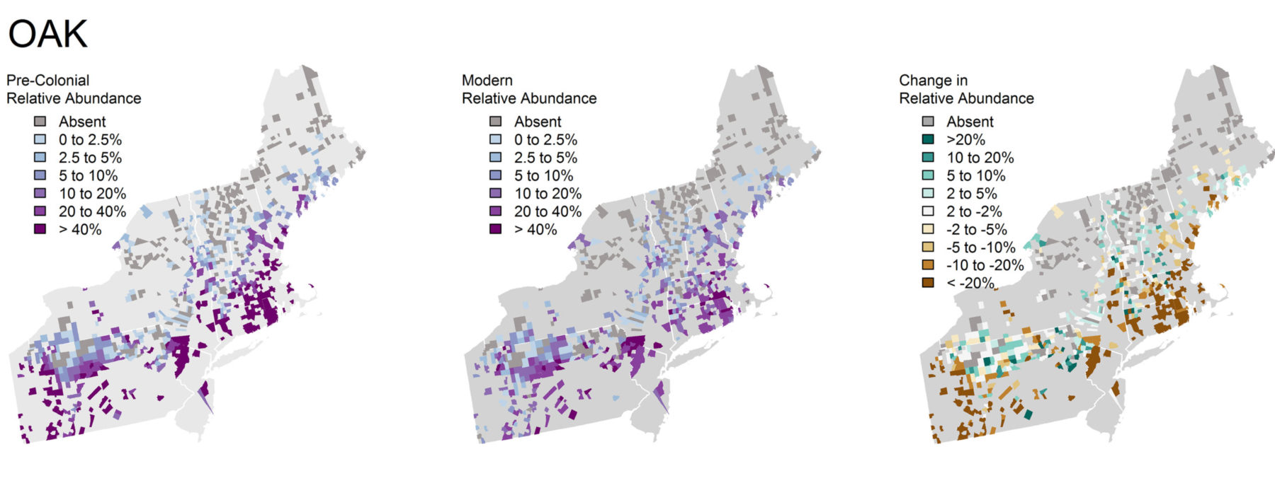 Help Us Map and Identify Oak | Vermont Center for Ecostudies