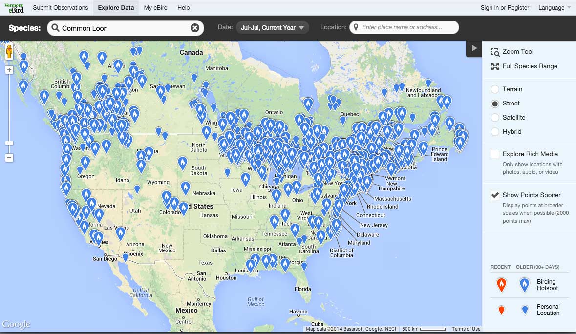 Where to See Loons | Vermont Center for Ecostudies