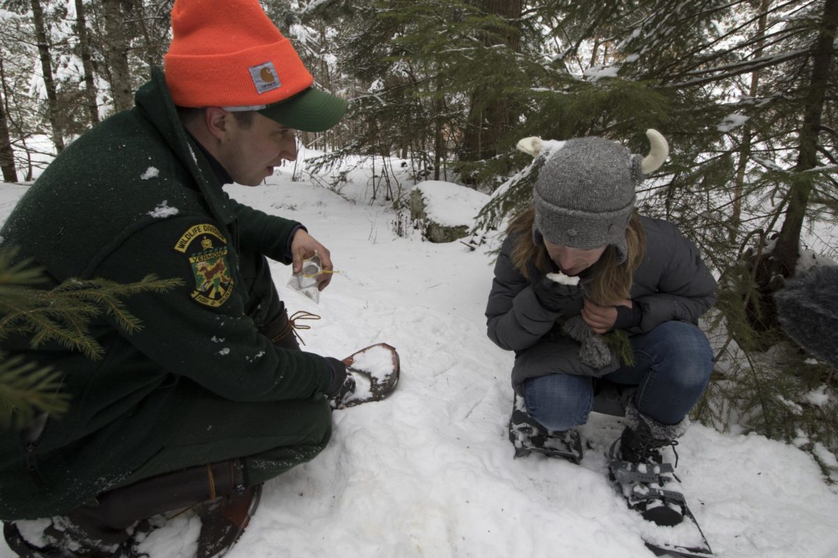 Outdoor Radio: Tracking Moose Health | Vermont Center for Ecostudies