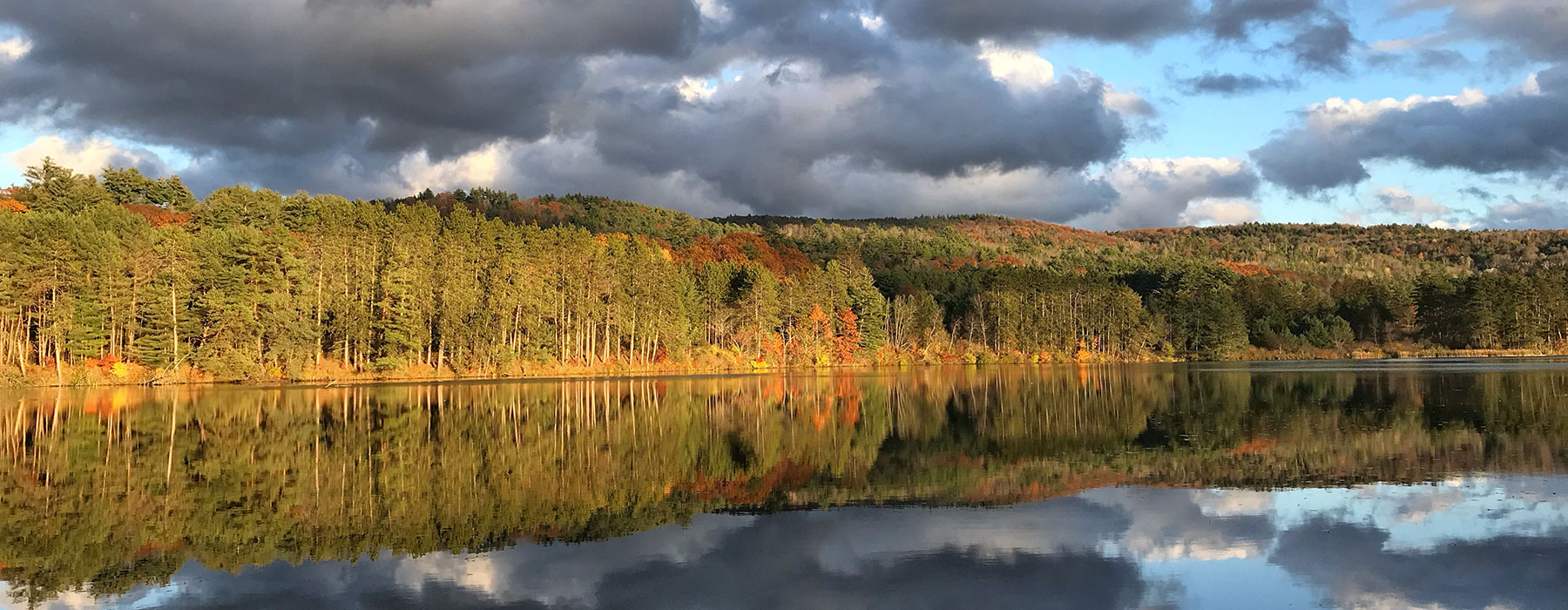 Vermont Center for Ecostudies | Uniting People & Science for Conservation