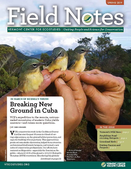 Field Notes | Vermont Center for Ecostudies