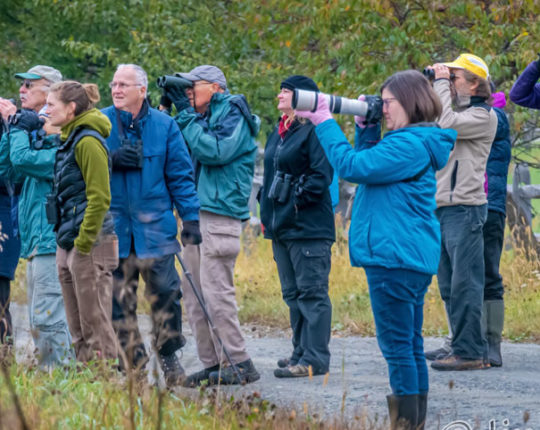 Vermont Center for Ecostudies