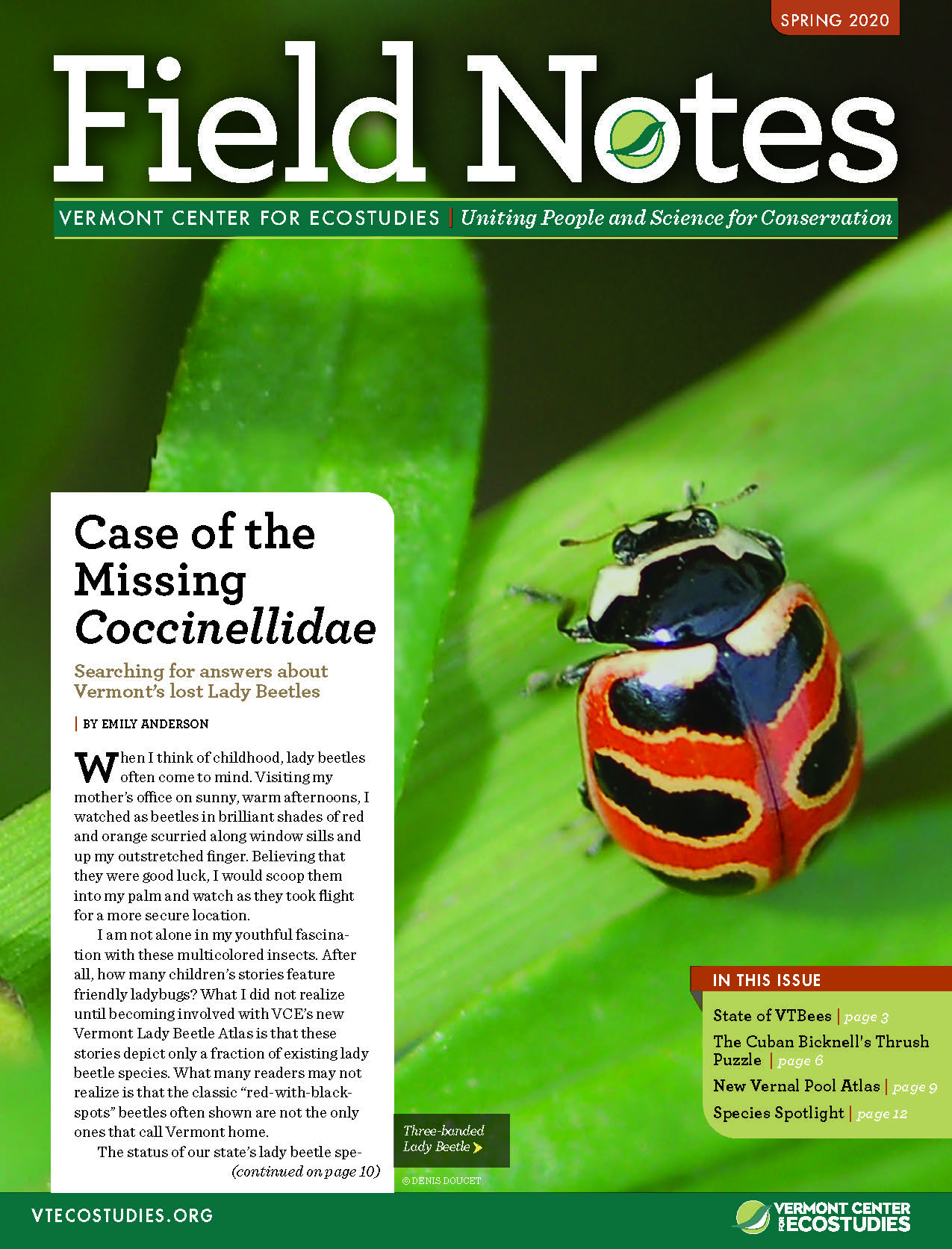 Field Notes | Vermont Center for Ecostudies