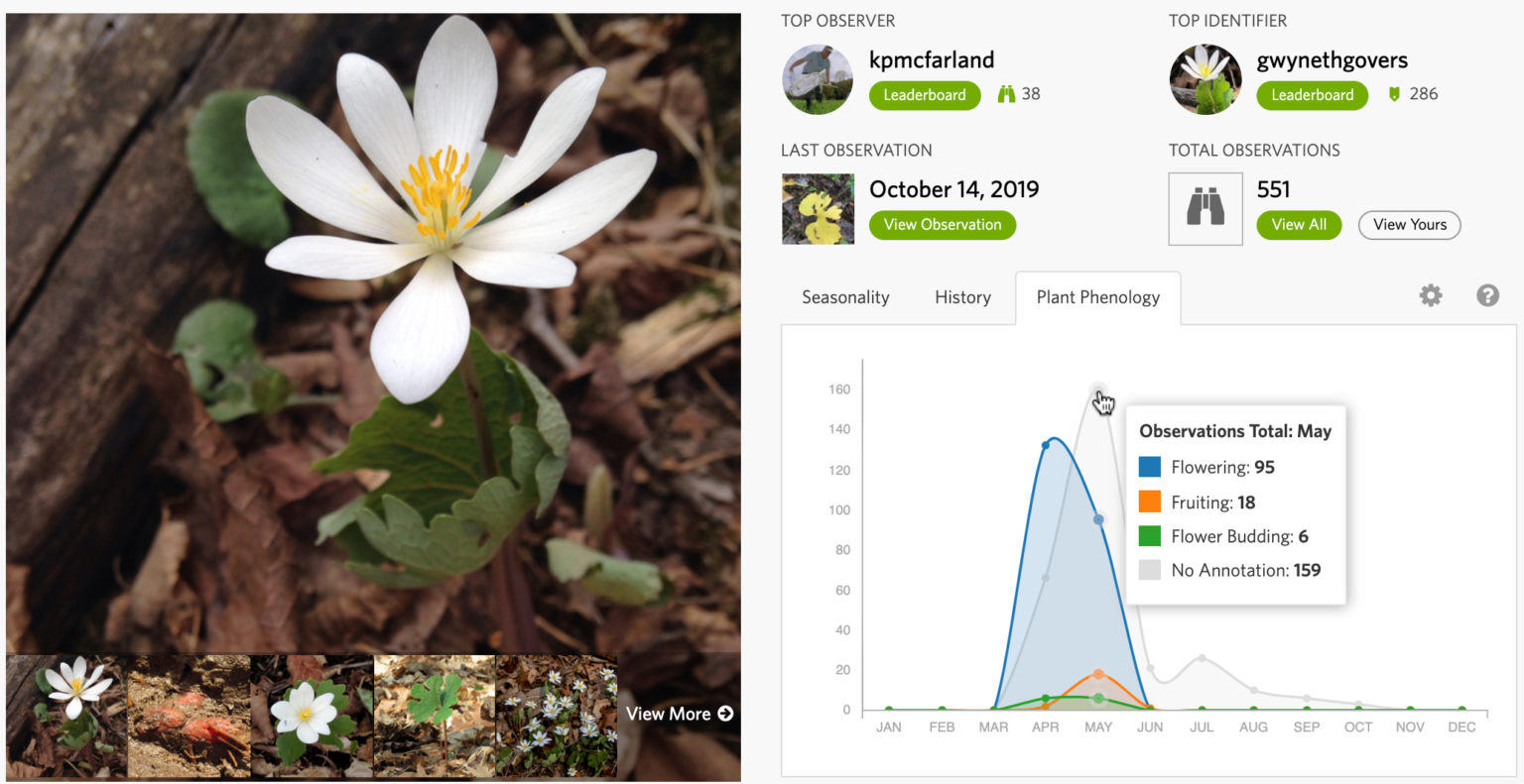 Join Our Spring Wildflower Phenology Annotation Blitz! | Vermont Center ...