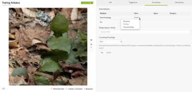 Field Guide to April 2022 | Vermont Center for Ecostudies
