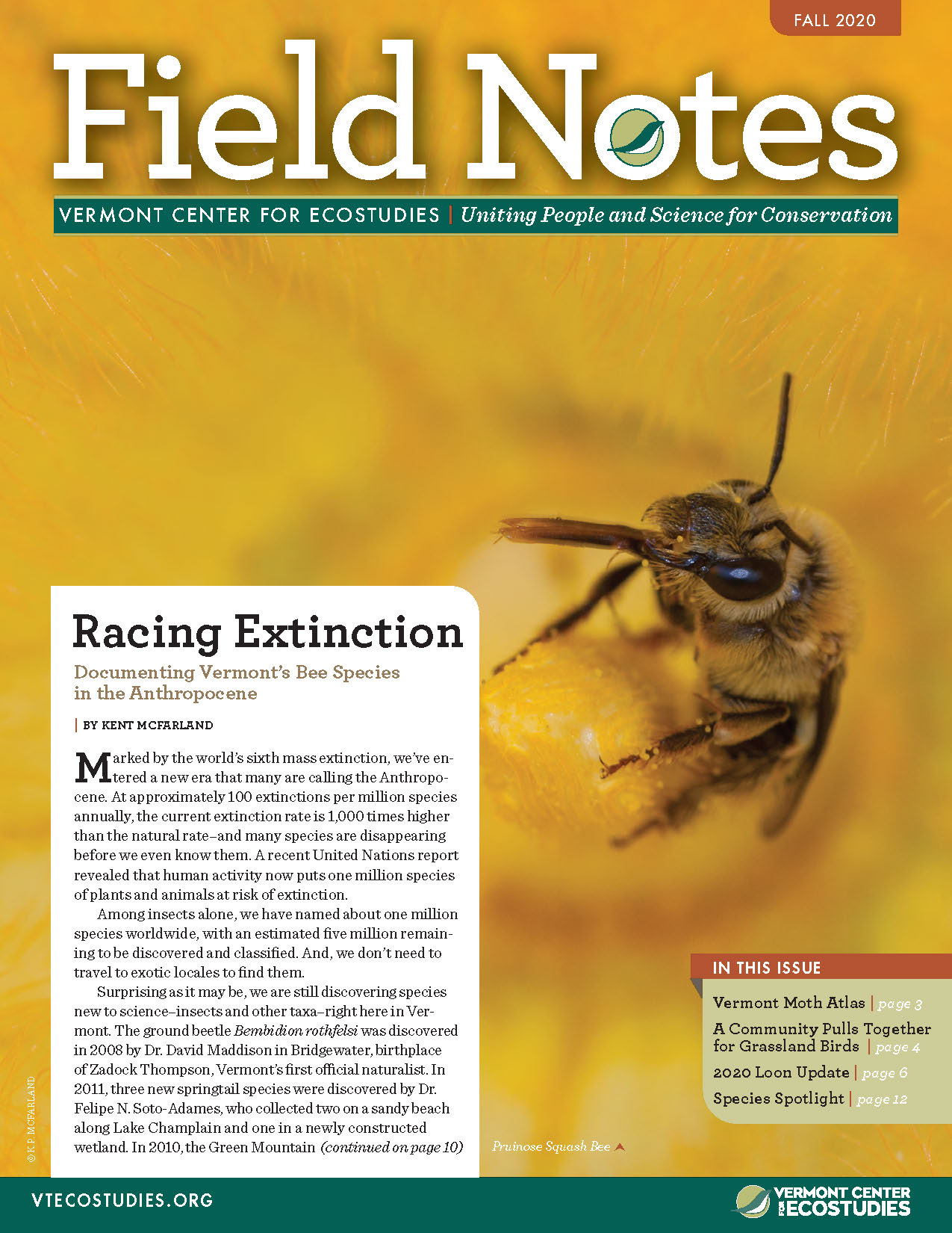 Field Notes | Vermont Center for Ecostudies