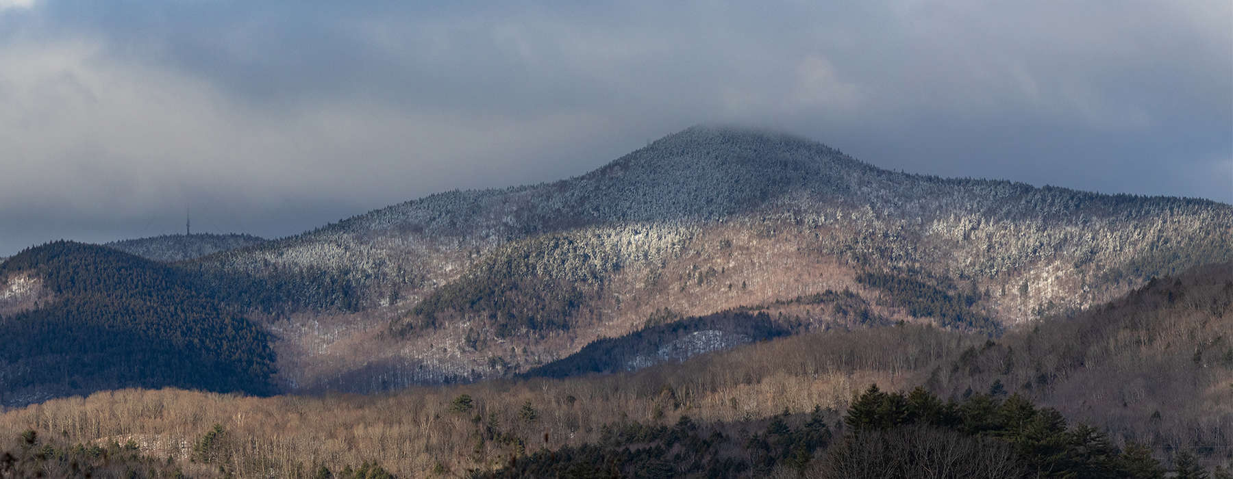 Vermont Center for Ecostudies
