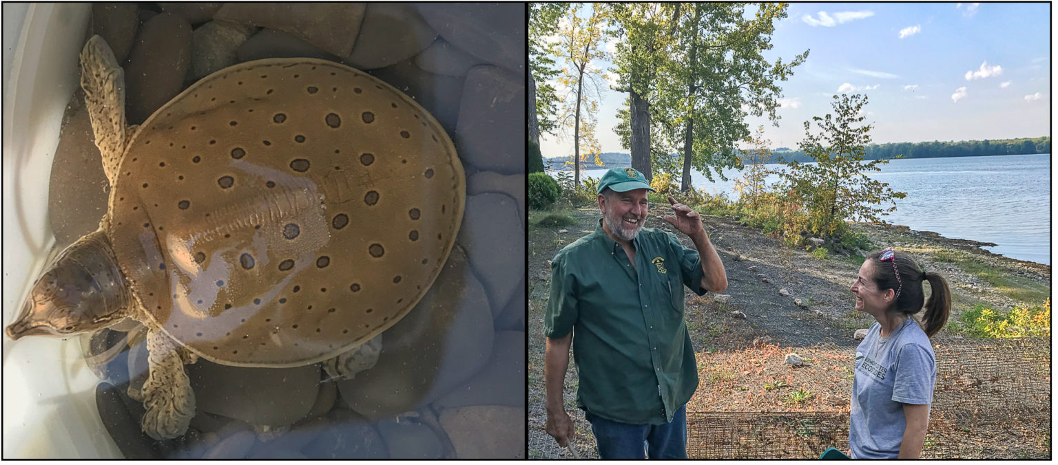 Meet Vermont’s Newest Endangered Species | Vermont Center for Ecostudies