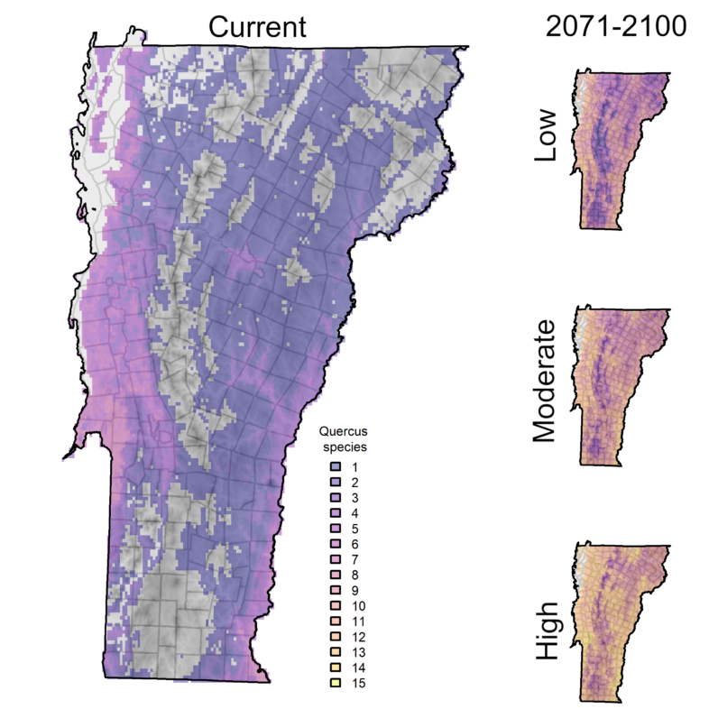 Predicting the Forests of Tomorrow with the Observations of Today ...