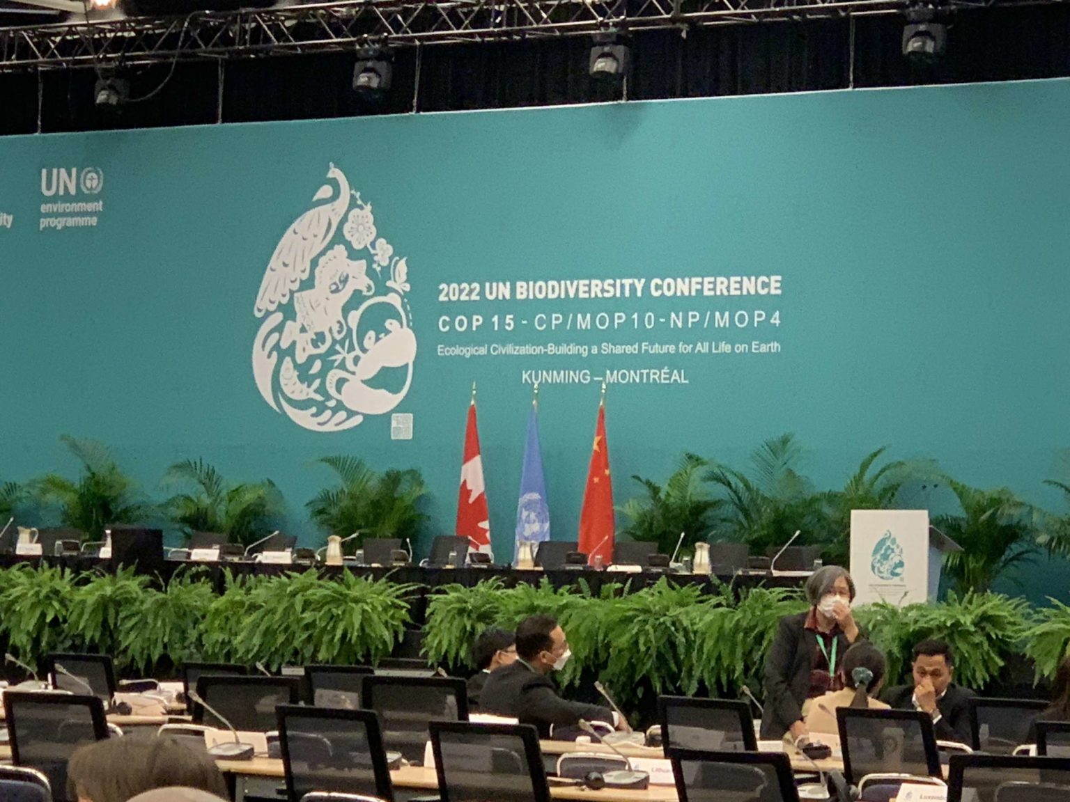 Reflections From COP15 | Vermont Center for Ecostudies