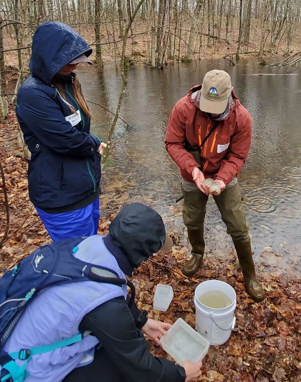 ALL IN for Biodiversity | Vermont Center for Ecostudies