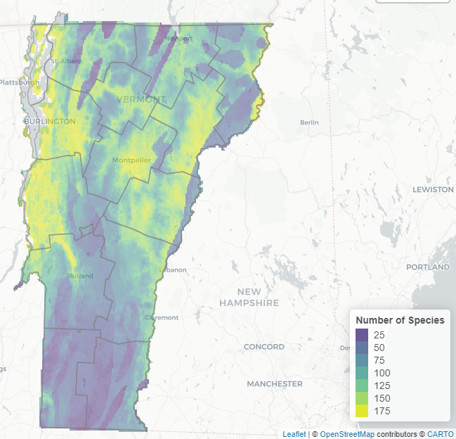 VCE is Abuzz with High-impact Bee Work | Vermont Center for Ecostudies