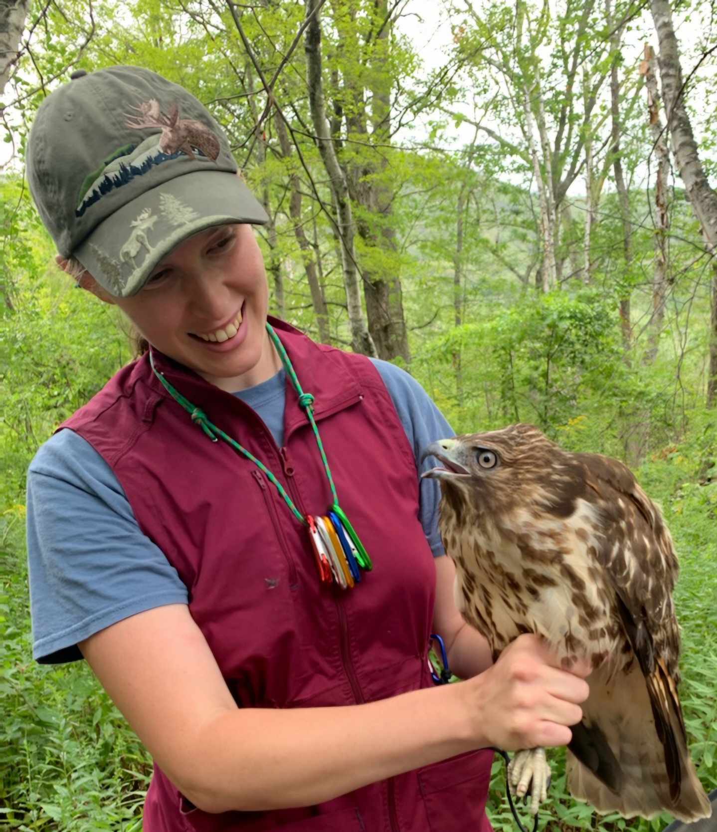 Anna Peel | Vermont Center for Ecostudies