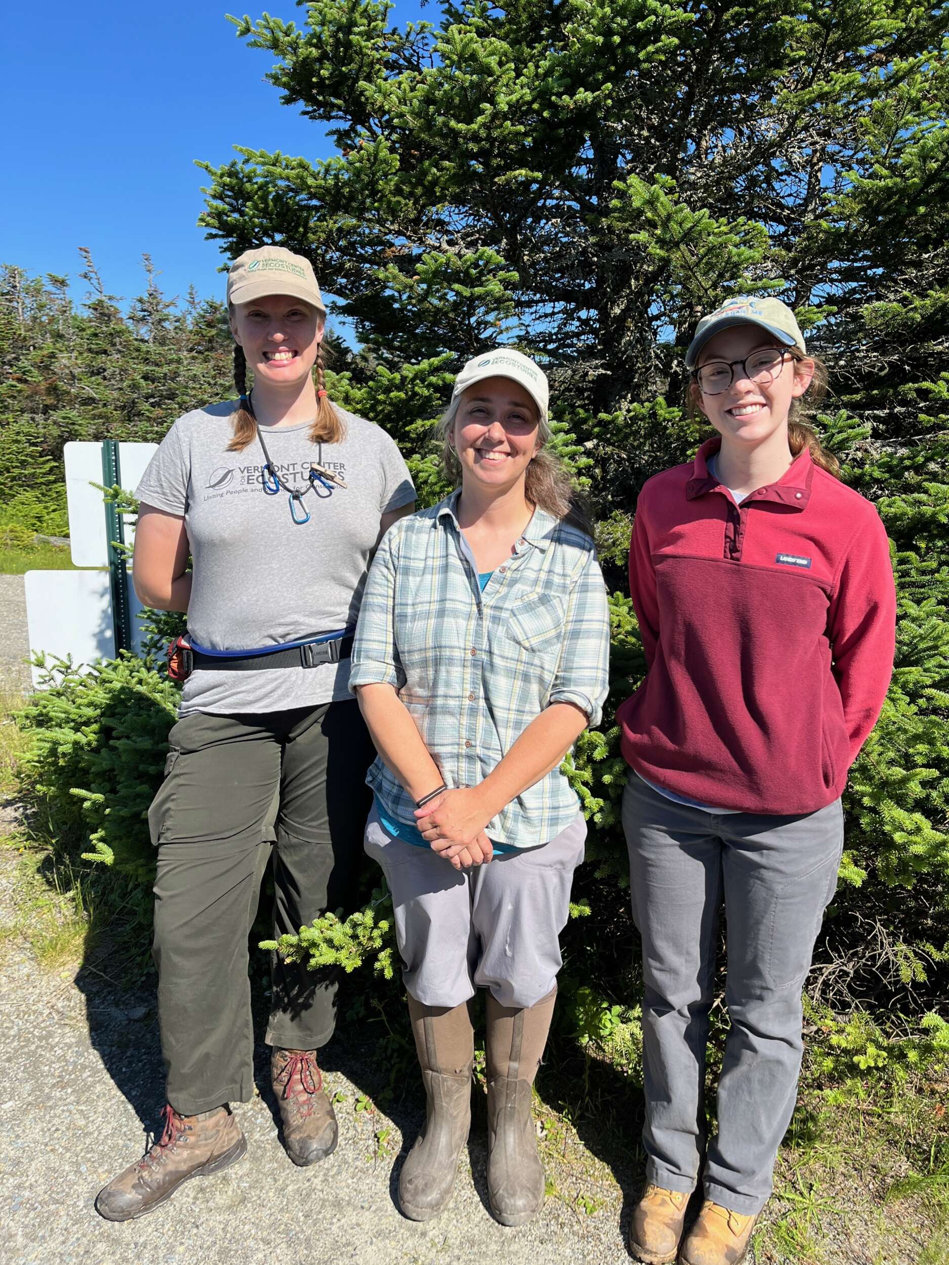 The Next Generation of Mt. Mansfield Ridgeline Research at VCE ...