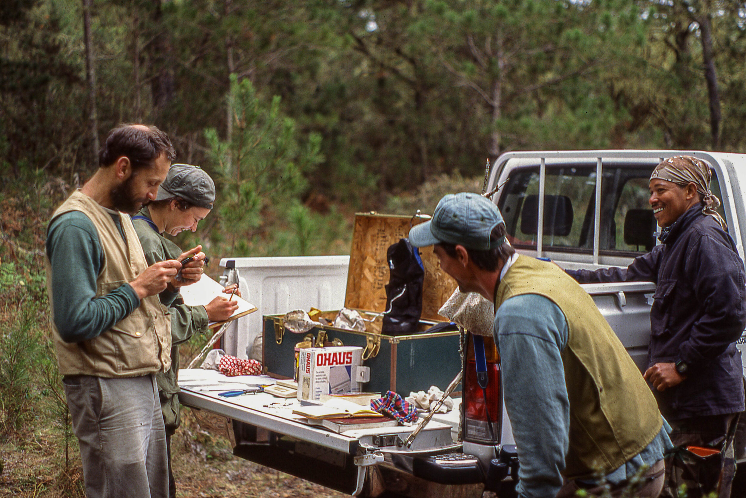 Why Bicknell’s Thrush? | Vermont Center for Ecostudies