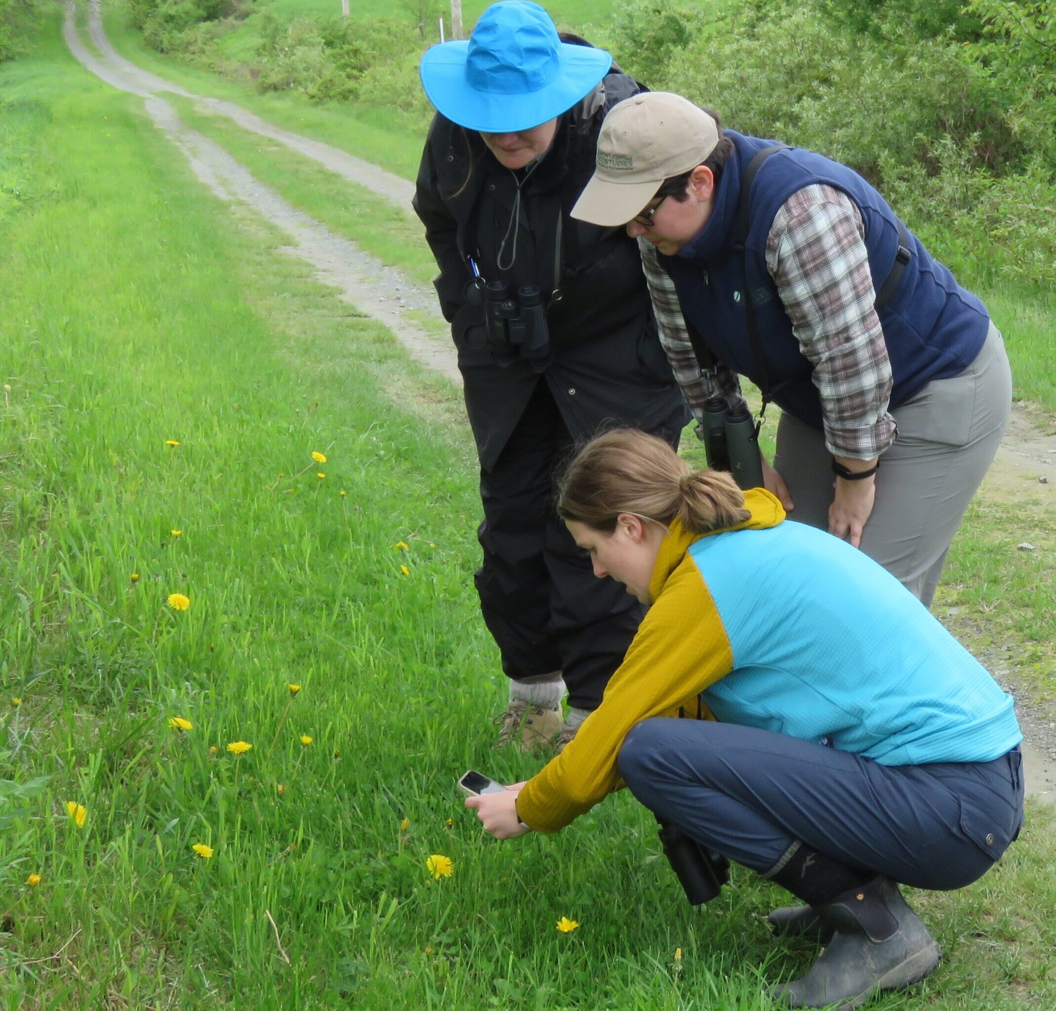 Why We Don’t Hoard Data | Vermont Center for Ecostudies