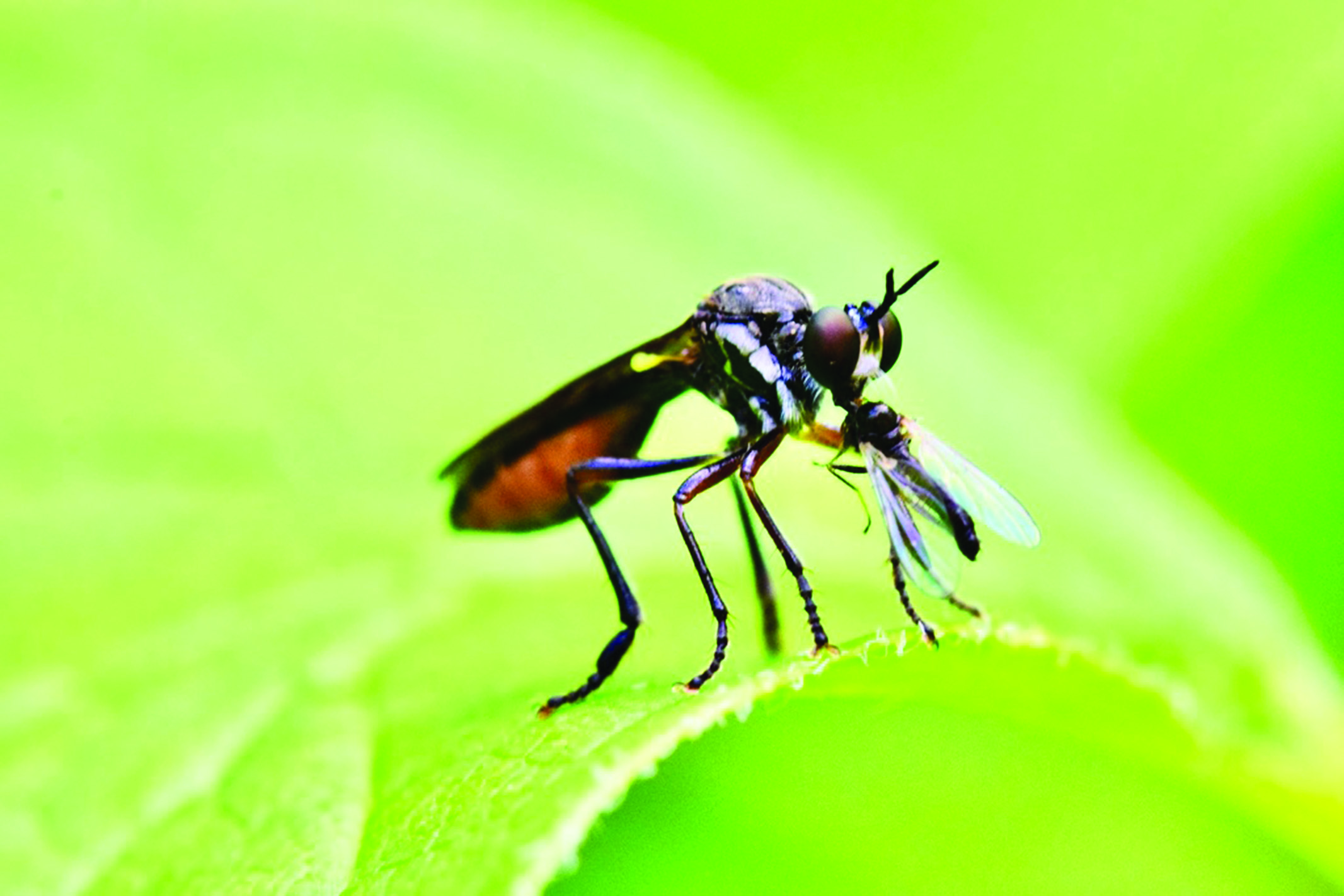 Bernie Paquette Receives the 2025 Julie Nicholson Community Science ...